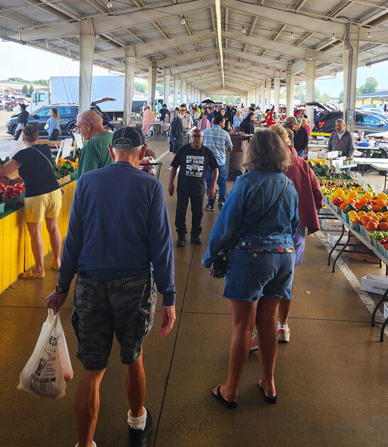 massive bazaars ohio budget FTR
