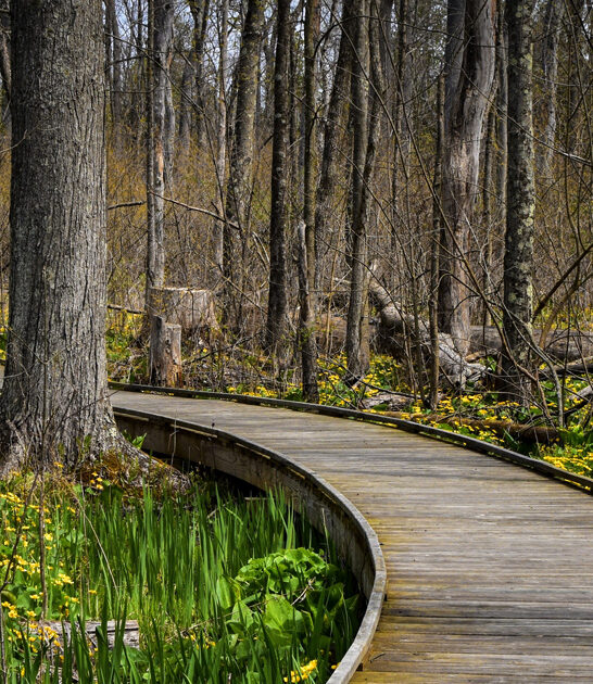 nature preserve ohio hidden ftr