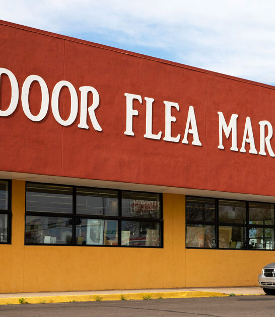 new mexico massive markets ftr