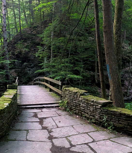 new york park state ftr