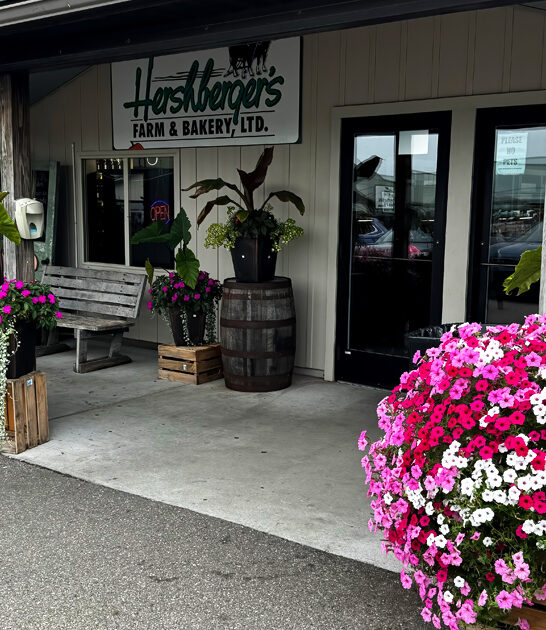 ohio amish bakery experience ftr