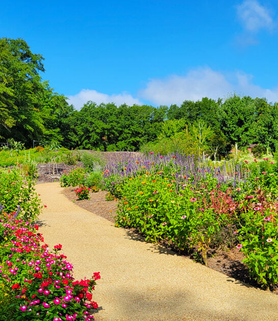 ohio postcard botanical garden ftr