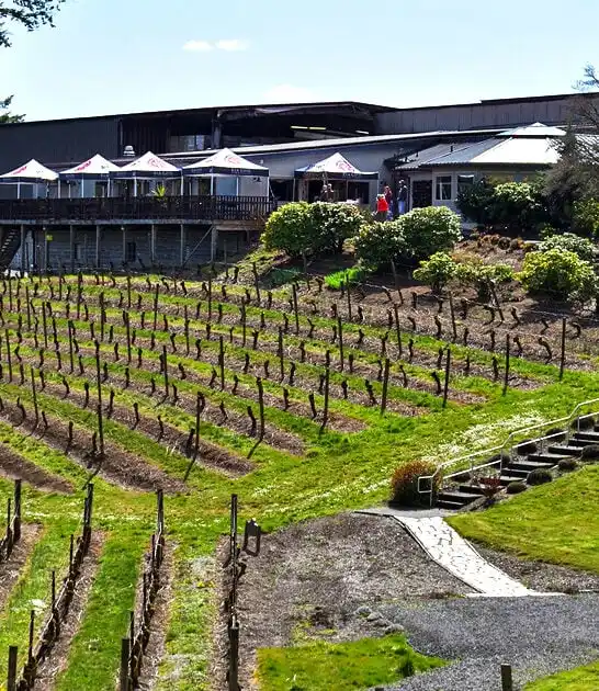 oregon traditional local winery ftr