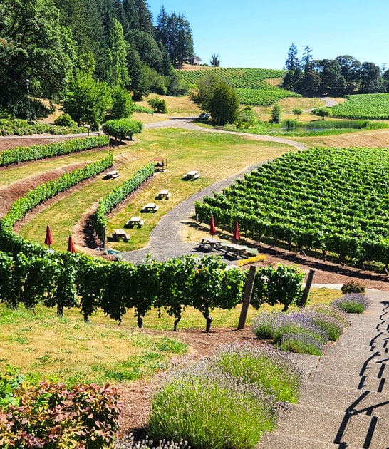 oregon winery local dining ftr