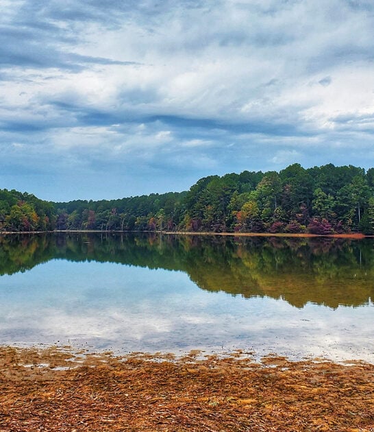 park mississippi perfect getaway ftr