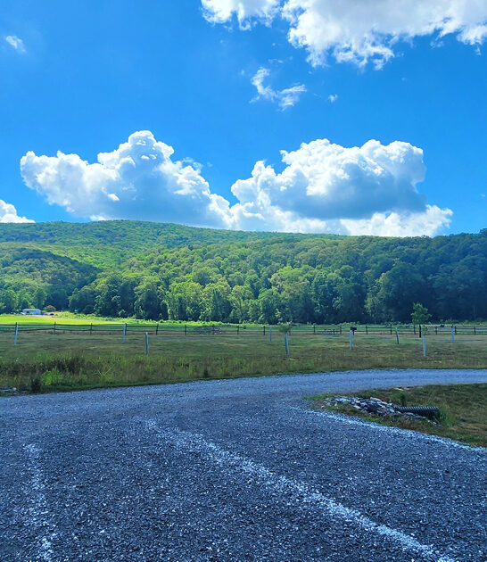 peaceful state park virginia ftr