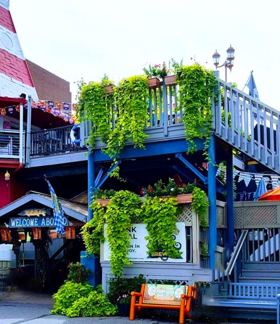 pennsylvania local seafood favorites ftr