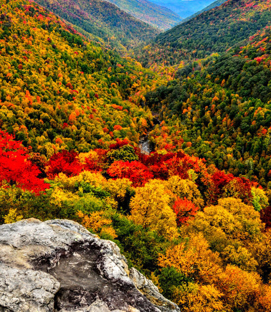 postcard park west virginia ftr