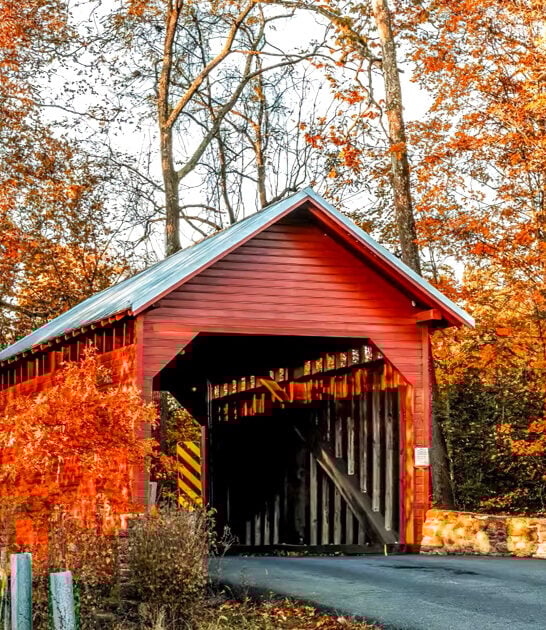 postcard worthy bridge maryland ftr