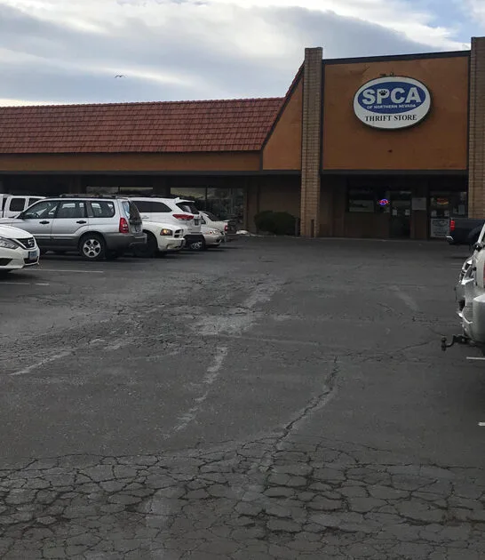 secondhand shop nevada bargain FTR