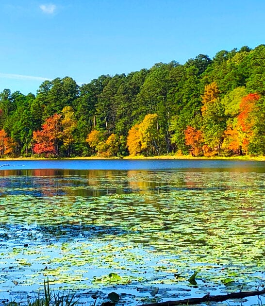 serene texas state park ftr