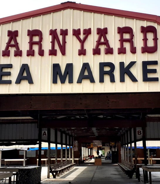shopping south carolina markets ftr