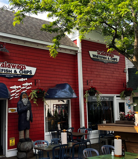 shrimp basket michigan ftr