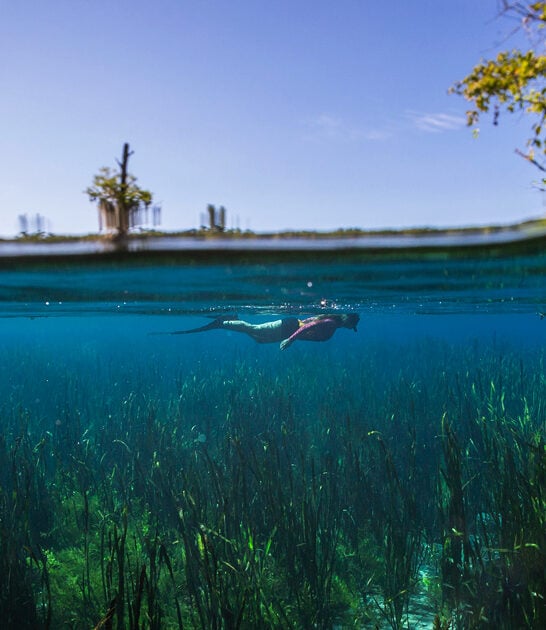 spring florida crystal clear ftr