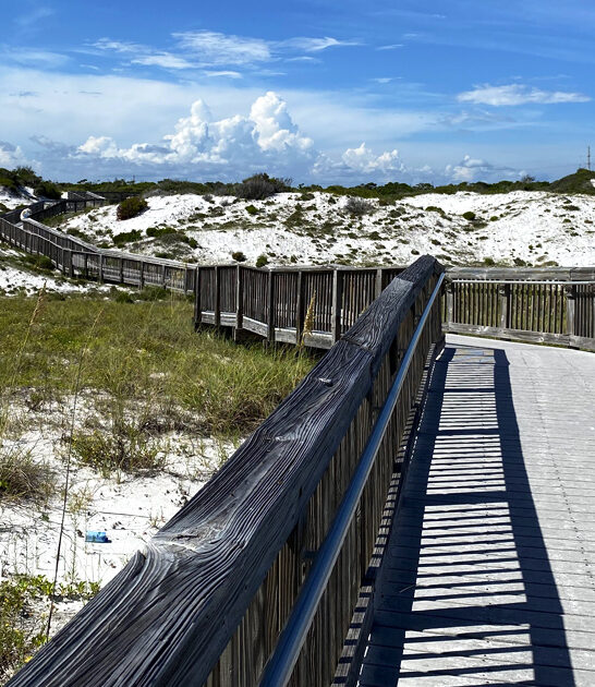 state florida park gorgeous ftr