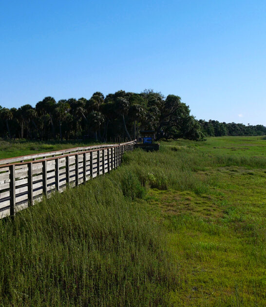 state park florida trails ftr