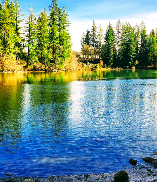 state park oregon getaway ftr