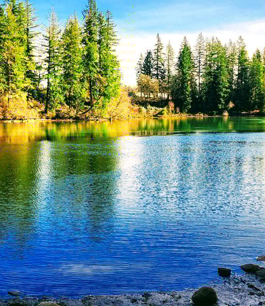 state park oregon painting ftr