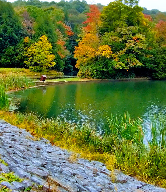 stunning guarded park pennsylvania ftr