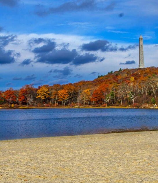 stunning new jersey park ftr