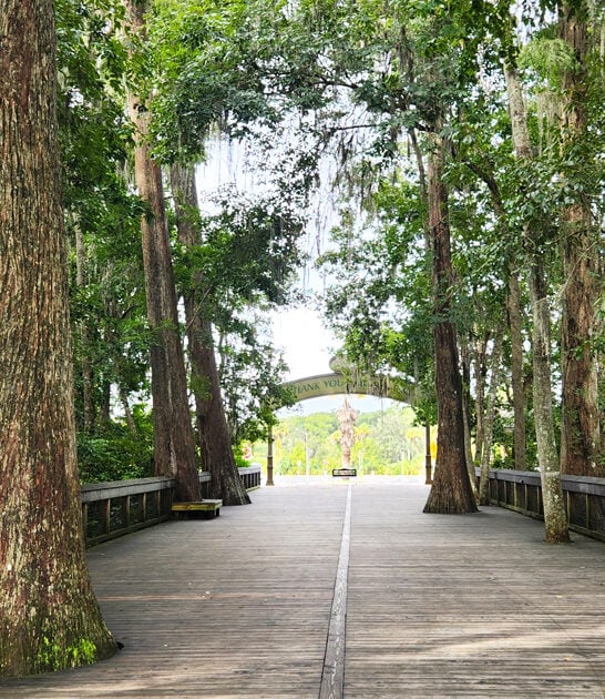 stunning park florida state ftr