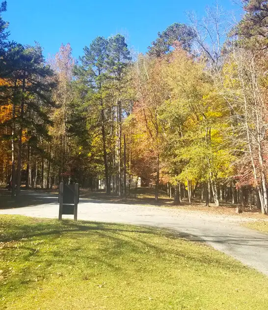 stunning south carolina known ftr