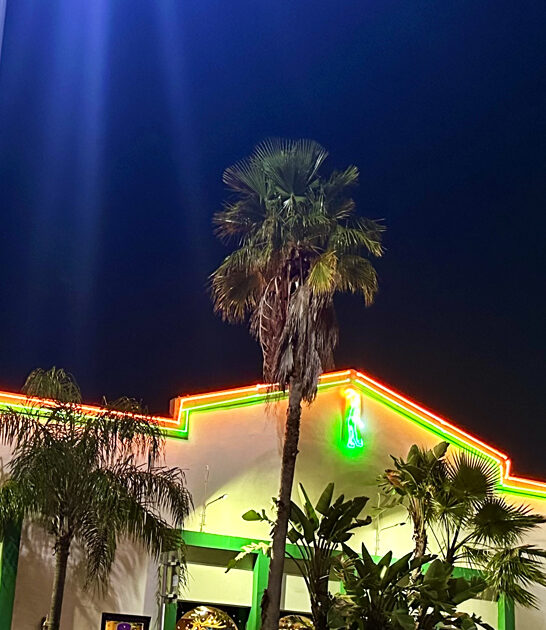 sunny florida diner mornings ftr