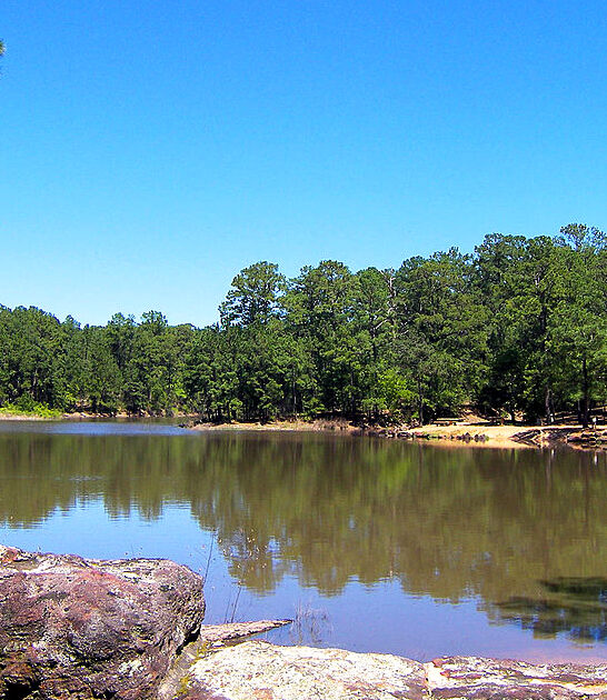 texas nature lover dream ftr