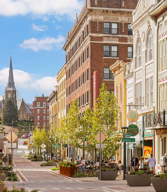 town maryland postcard perfect ftr
