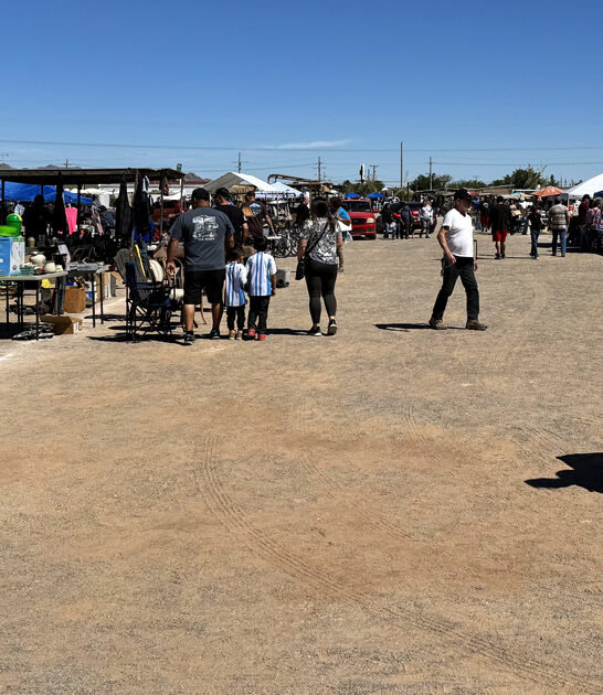 underrated swap new mexico ftr
