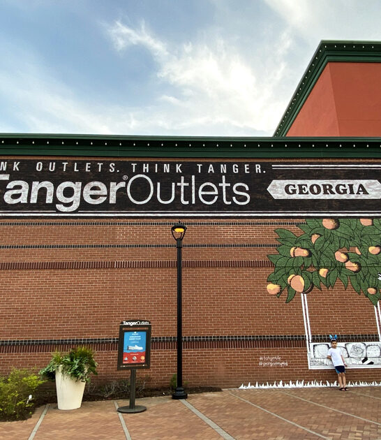 vast outlet malls georgia ftr