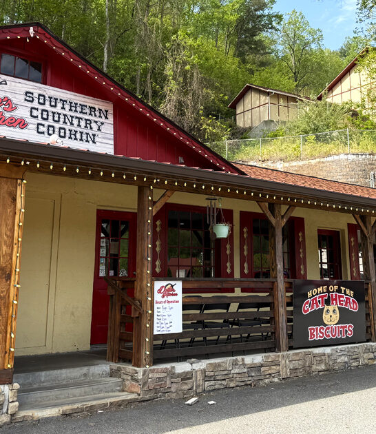 well known deli georgia ftr